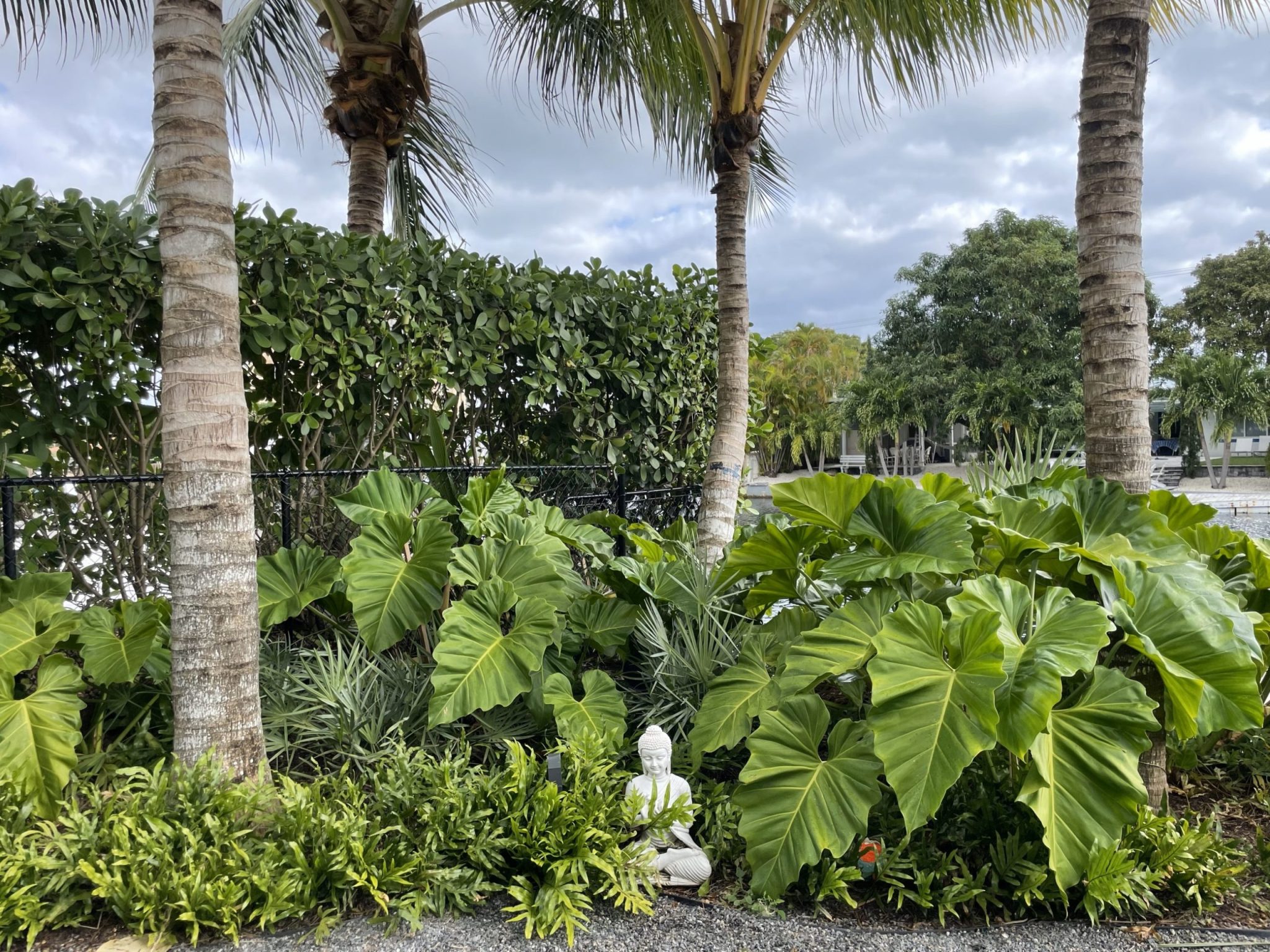 热带禅修度假屋 · 自然与宁静的结合 / Studio Arth – mooool木藕设计网