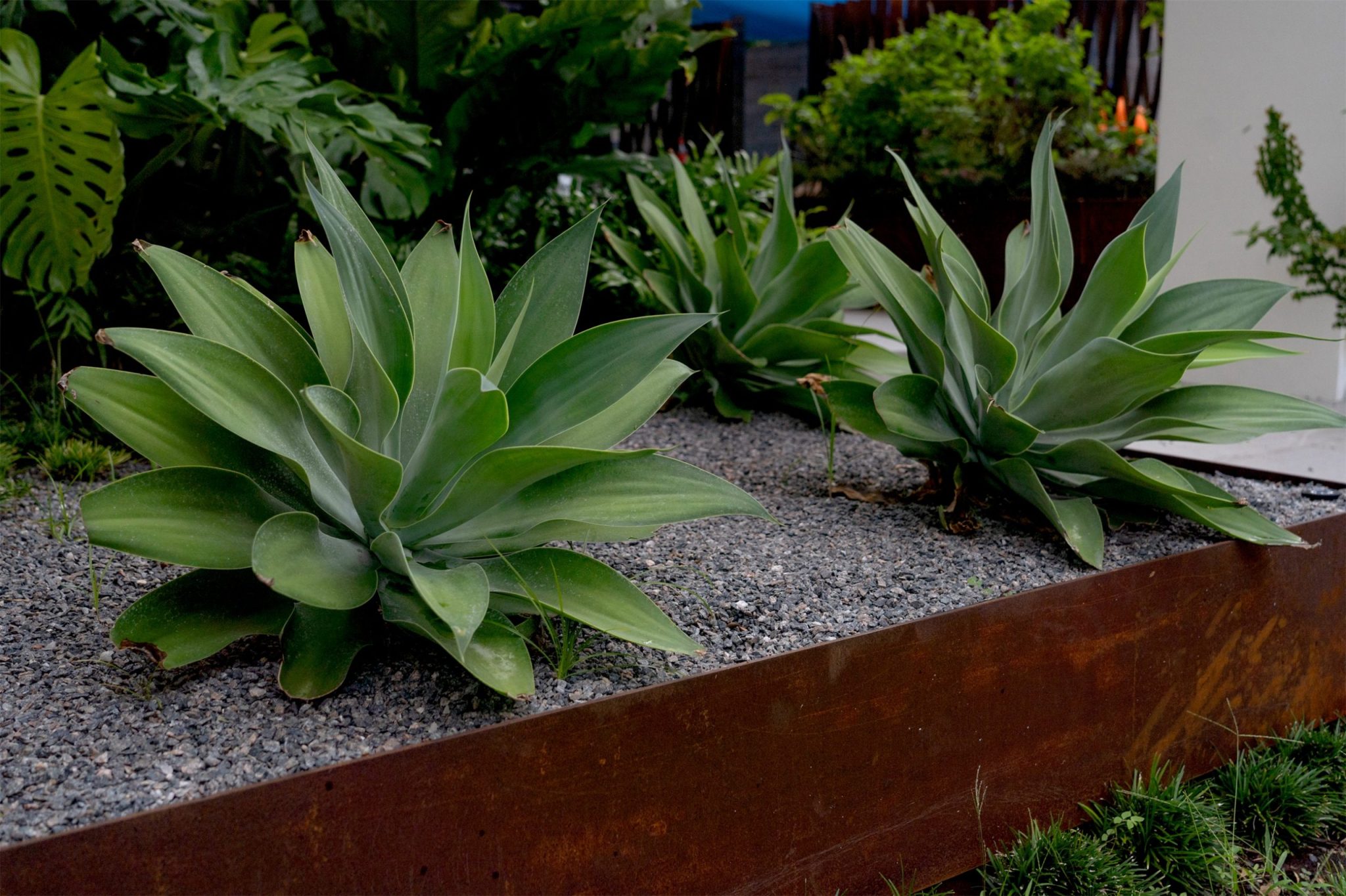 热带禅修度假屋 · 自然与宁静的结合 / Studio Arth – mooool木藕设计网