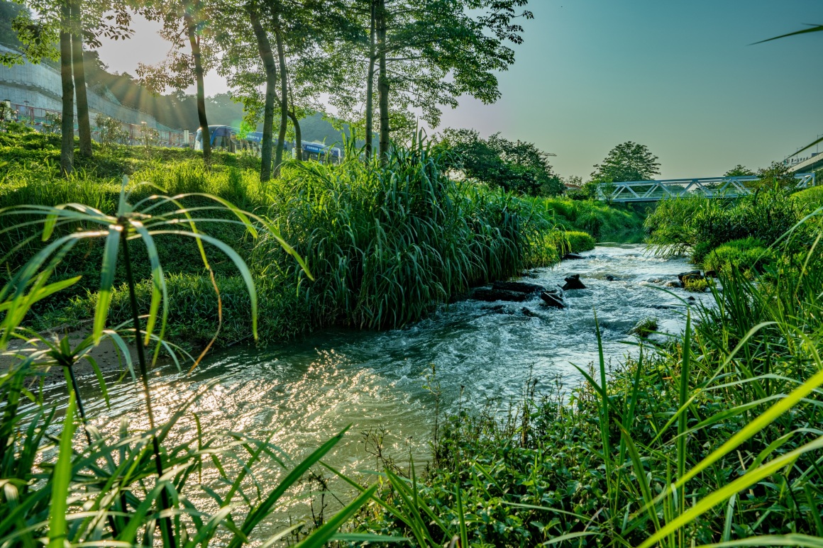 广州南岗河 | 流淌着“幸福”的城央生态河 / AECOM – mooool木藕设计网
