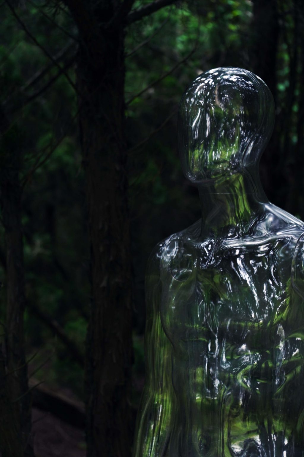 The Newborn Transparent Persona by Pumpark – mooool