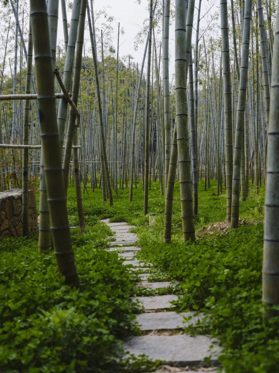 Taoyuan by Institute of Landscape Architecture Design, China Academy of ...