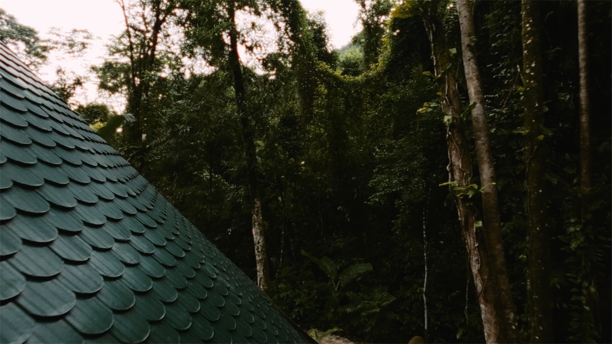 林中庙宇 | 沉浸式自然体验中心 AYURU / Atelier Marko Brajovic – mooool木藕设计网