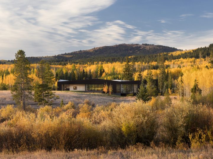 Landscape – mooool