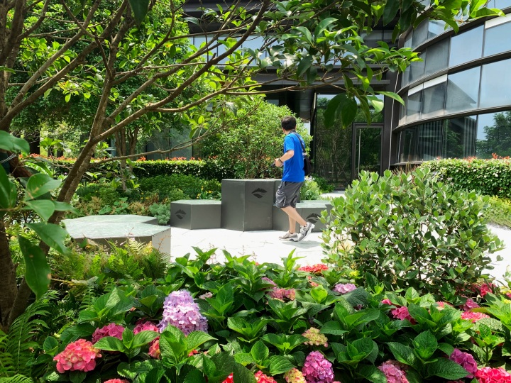 bio HILL by AECOM – mooool