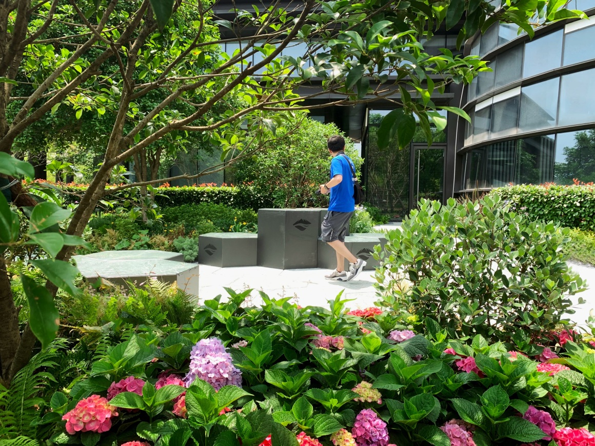 bio HILL by AECOM – mooool