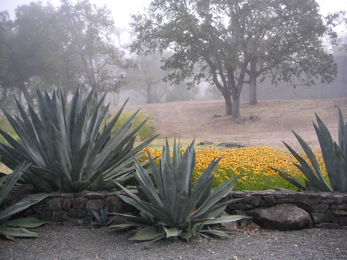 Art in the landscape – mooool