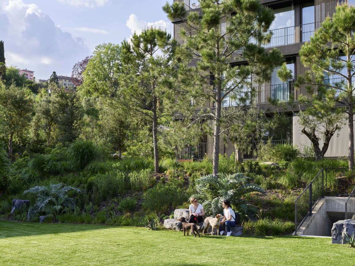 Landscape – mooool