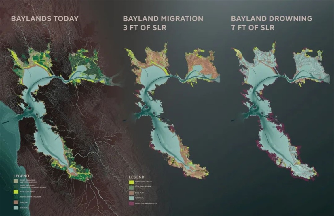 SCAPE合伙人Gena Wirth：为“无脊椎动物和自然系统”而设计｜ASLA’22 专访 – mooool木藕设计网