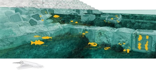 SCAPE合伙人Gena Wirth：为“无脊椎动物和自然系统”而设计｜ASLA’22 专访 – mooool木藕设计网