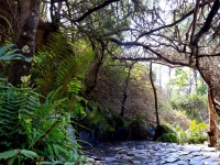 Landscape – mooool