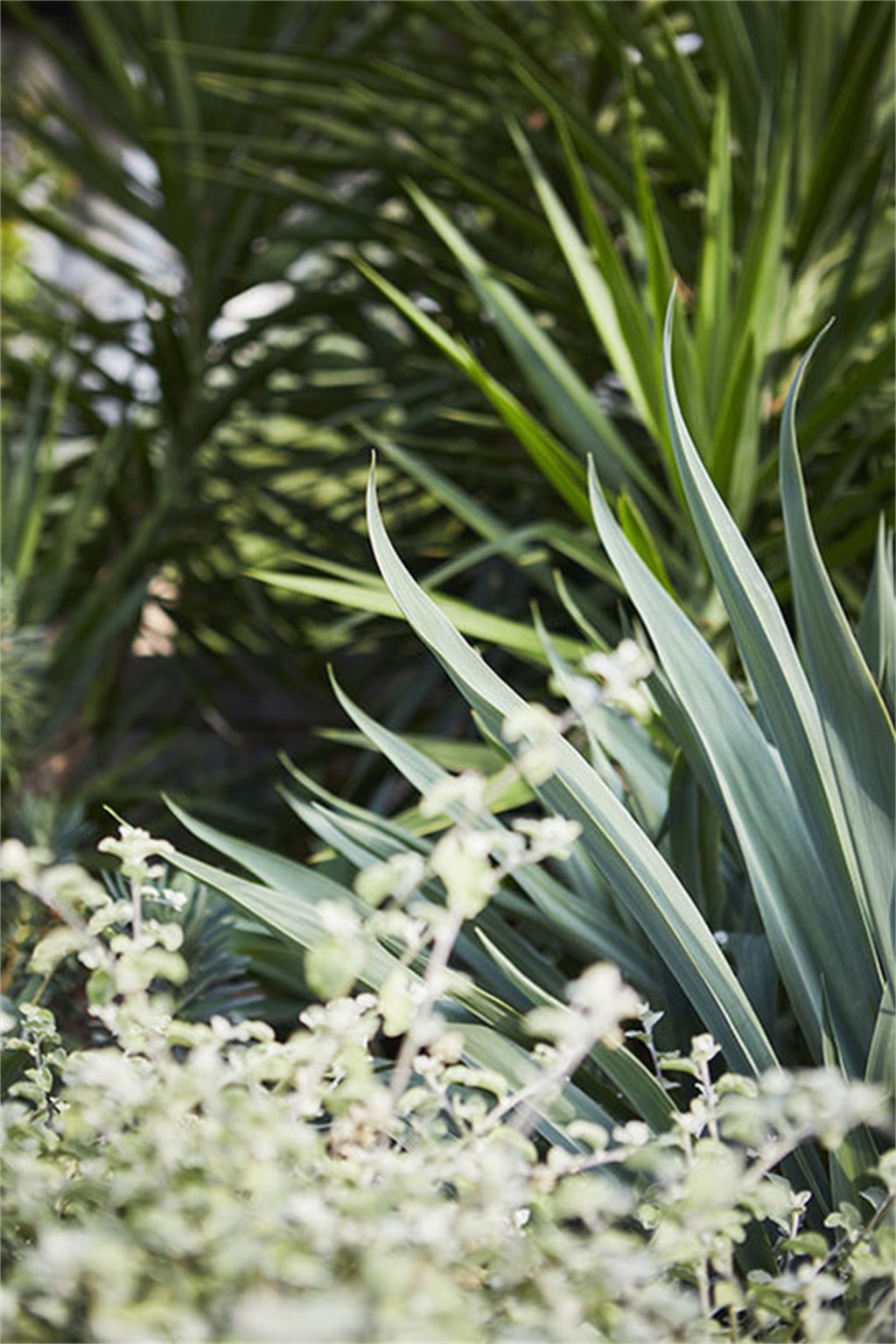 草木幽野 | Unadorned – mooool木藕设计网