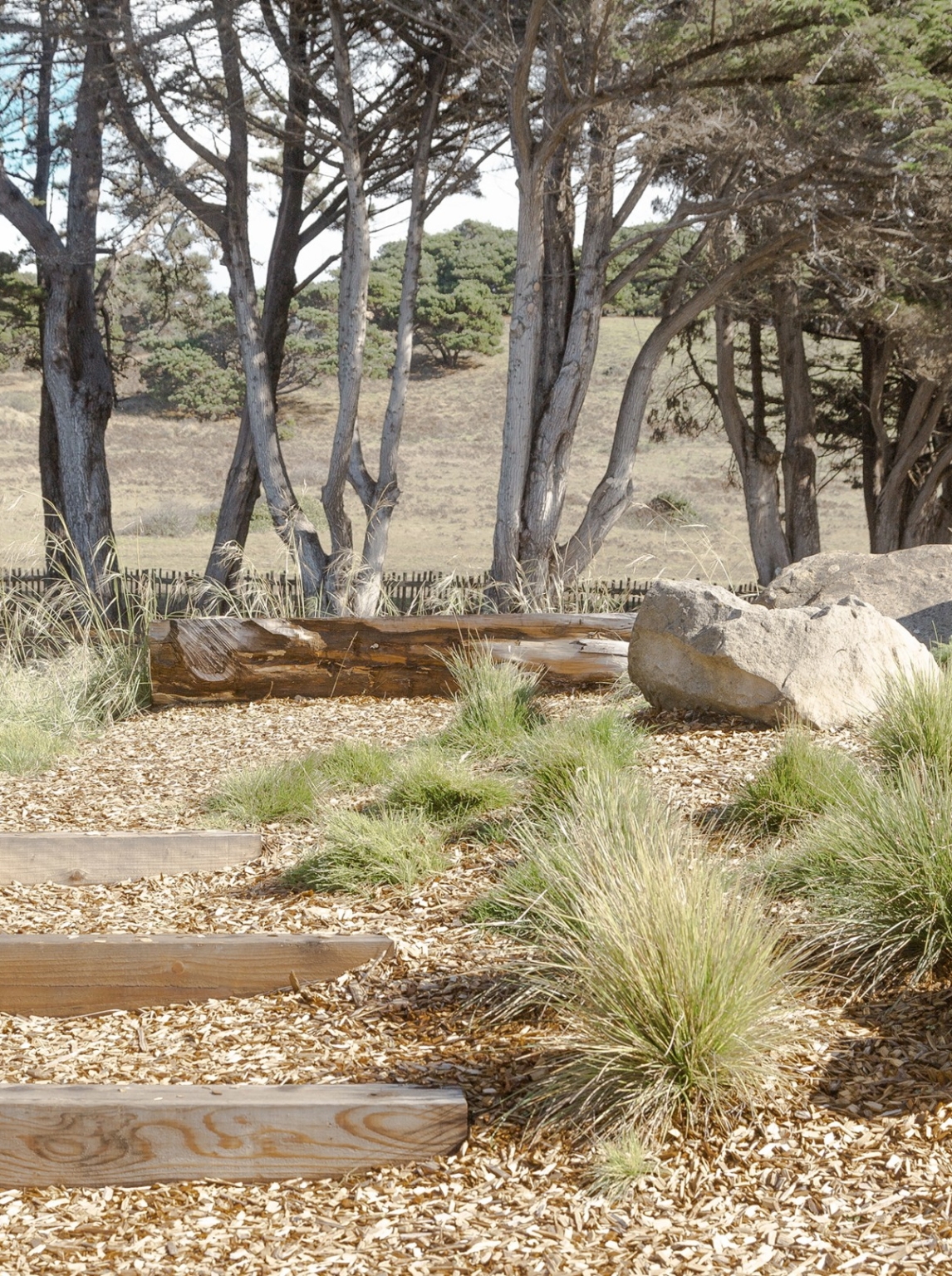 草木幽野 | Unadorned – mooool木藕设计网