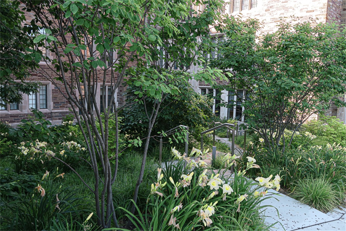 自然与文化的共筑 | Campus landscape – mooool木藕设计网