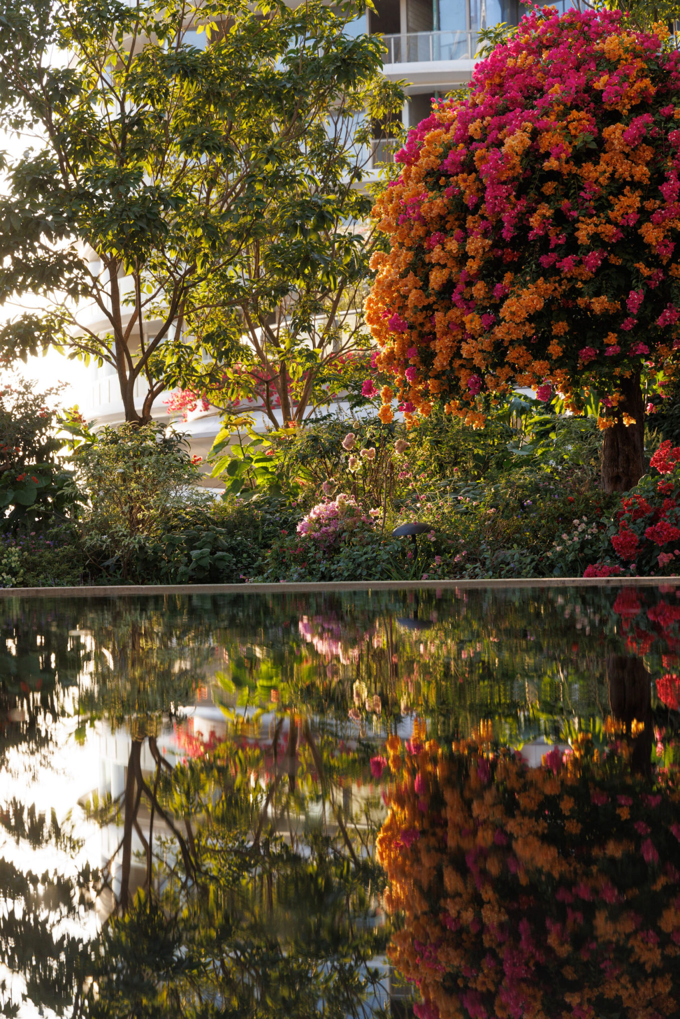 Guangzhou·One Pengrui Landscape Garden Creation by GM LANDSCAPE – mooool