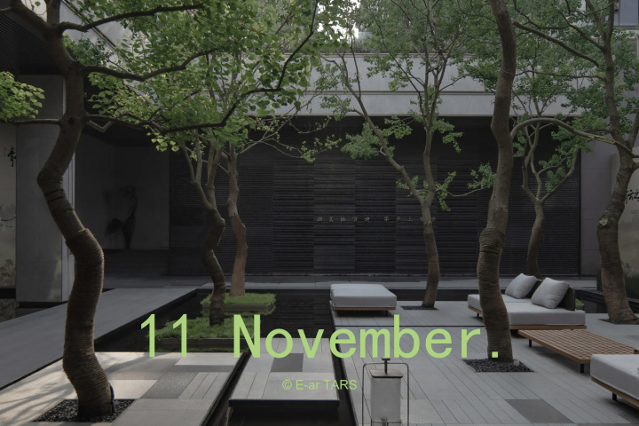 Collection of domestic and foreign firms reported in November 2024 – mooool