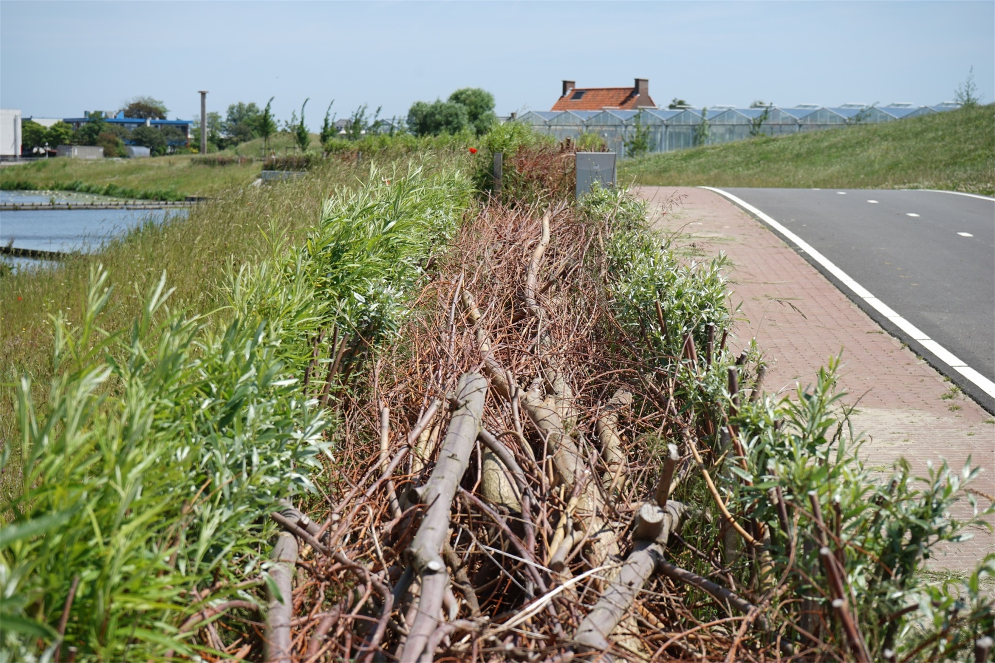 荷兰 Poelzone 生态公园 / LOLA Landscape Architects – mooool木藕设计网