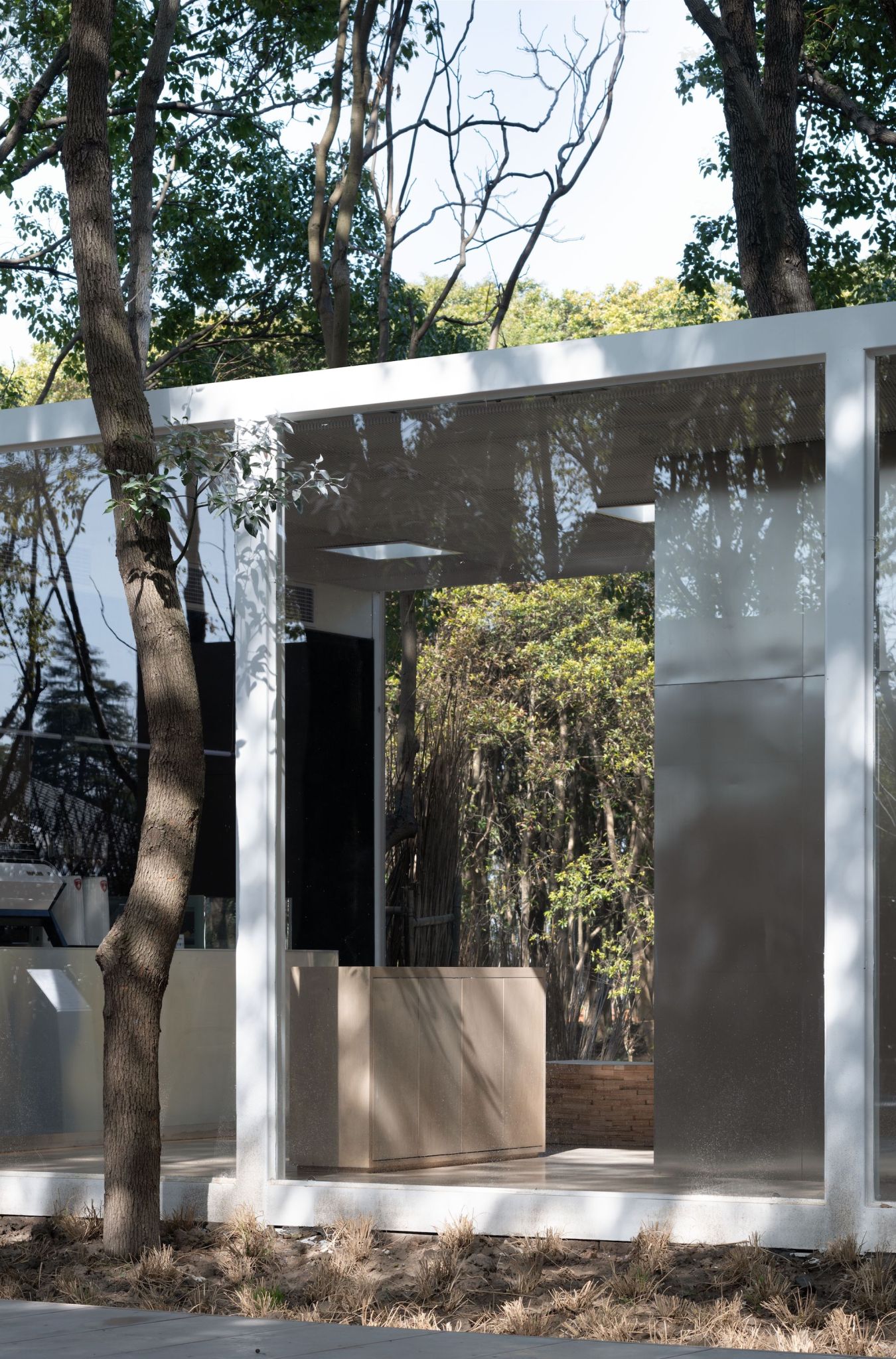 森林里的共生“野咖啡” / FG Studio否格设计 – mooool木藕设计网