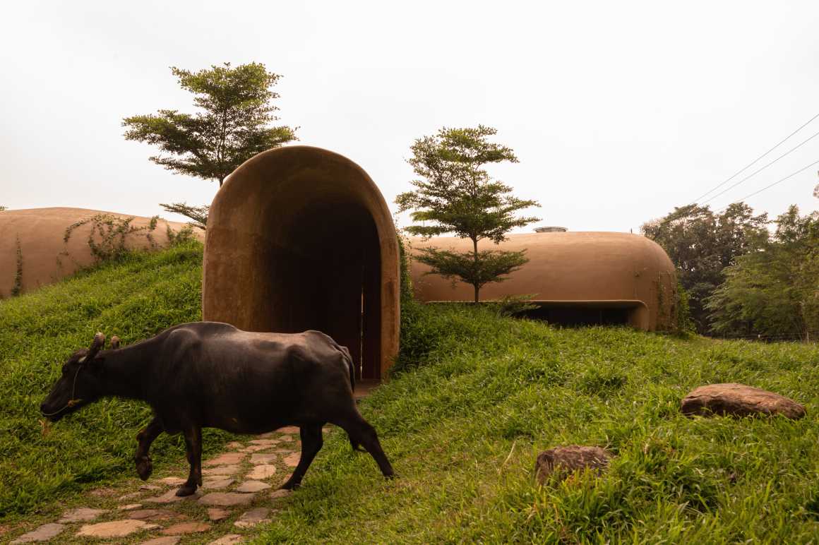 Into the wild by Earthscape Studio – mooool