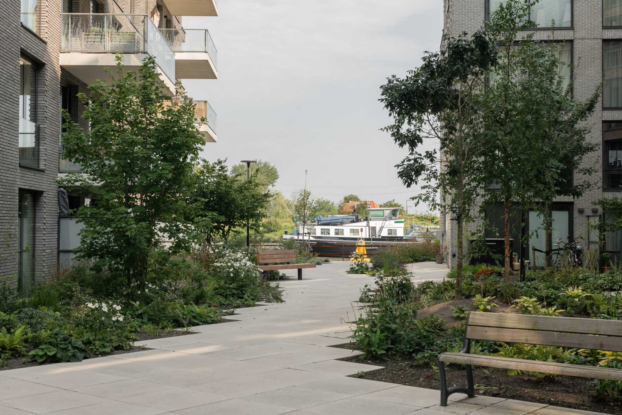 城市再野化，荷兰人工半岛社区更新 / KCAP – mooool木藕设计网