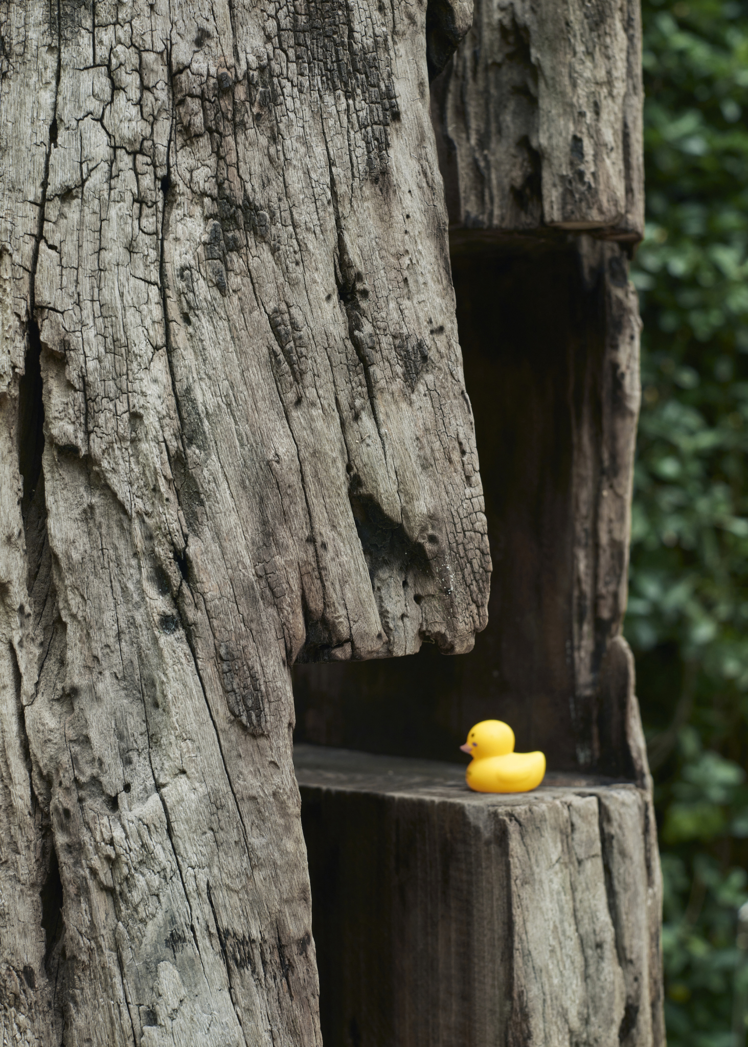 H01 Pprivate Garden by boll Design Studio – mooool