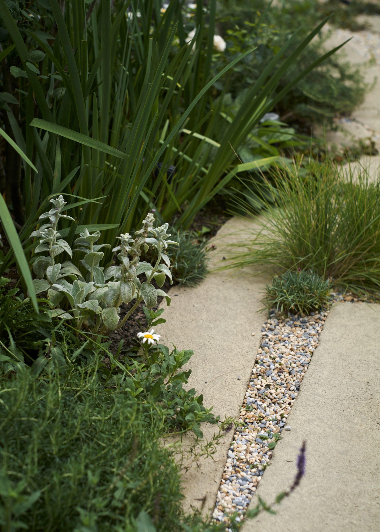 H01 Pprivate Garden by boll Design Studio – mooool