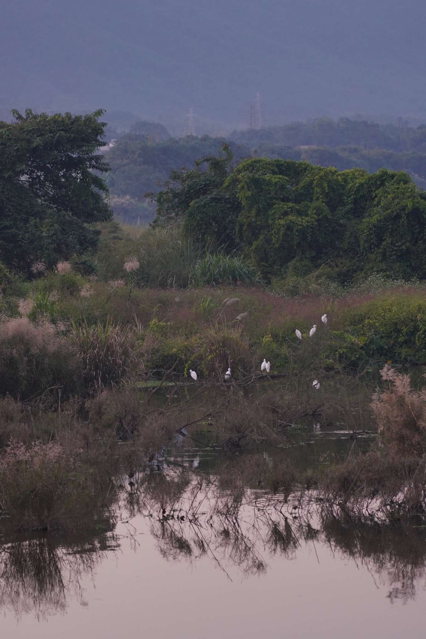 Guitou town wetland park by YXDesigners – mooool