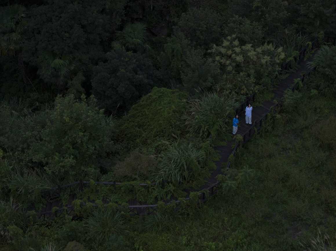 Landscape – mooool