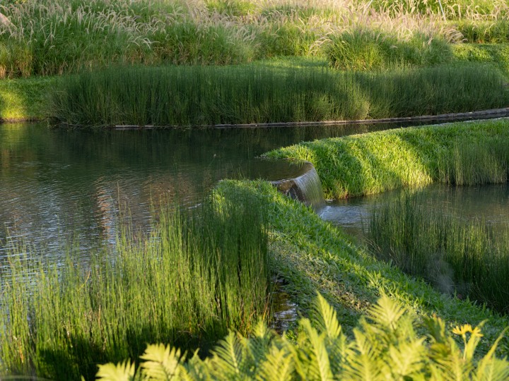 Landscape – mooool