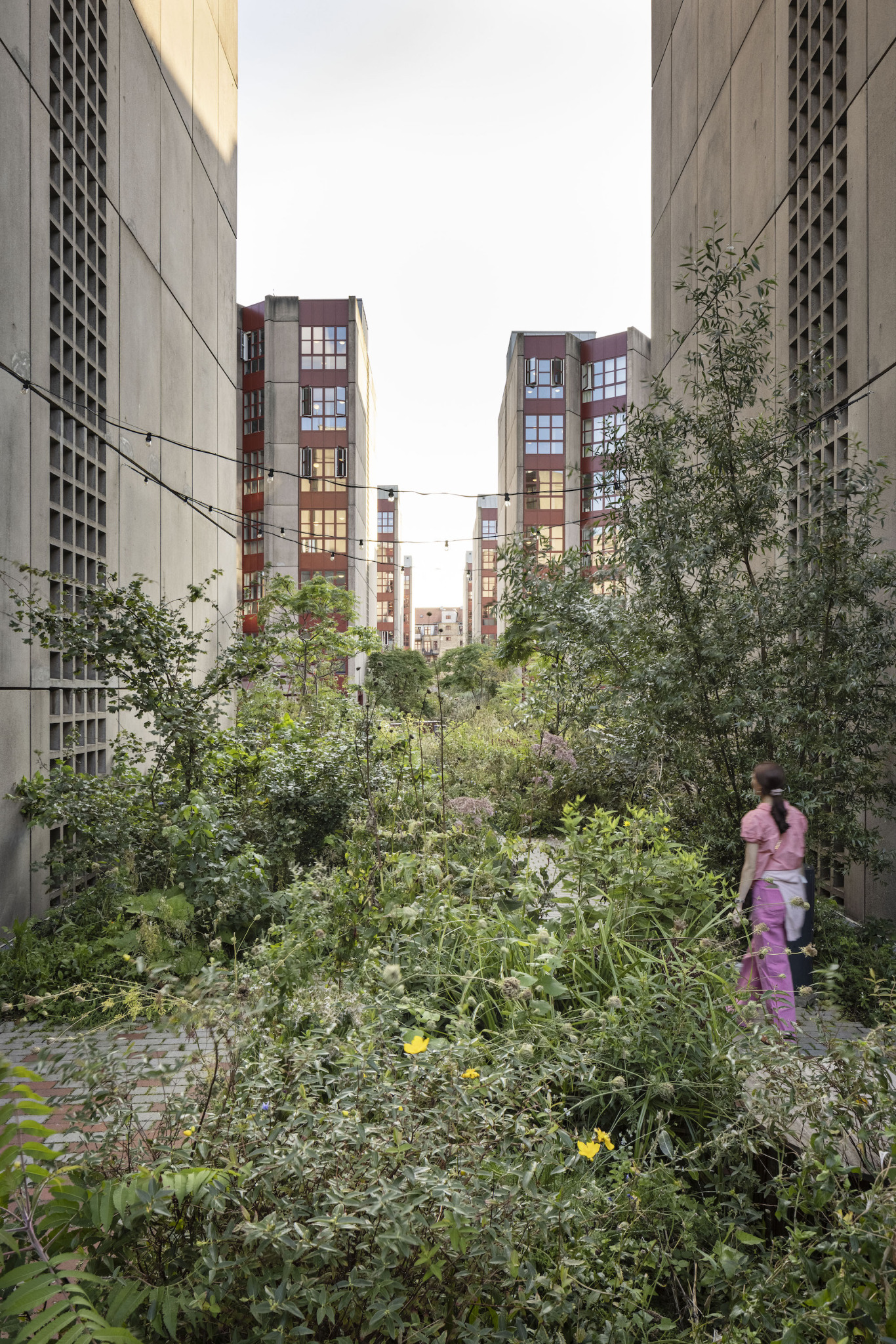 屋顶上的社交花园 / SLA Architects – mooool木藕设计网