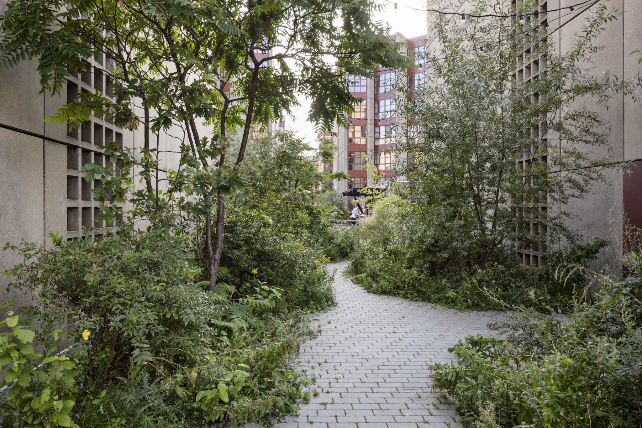 屋顶上的社交花园 / SLA Architects – mooool木藕设计网