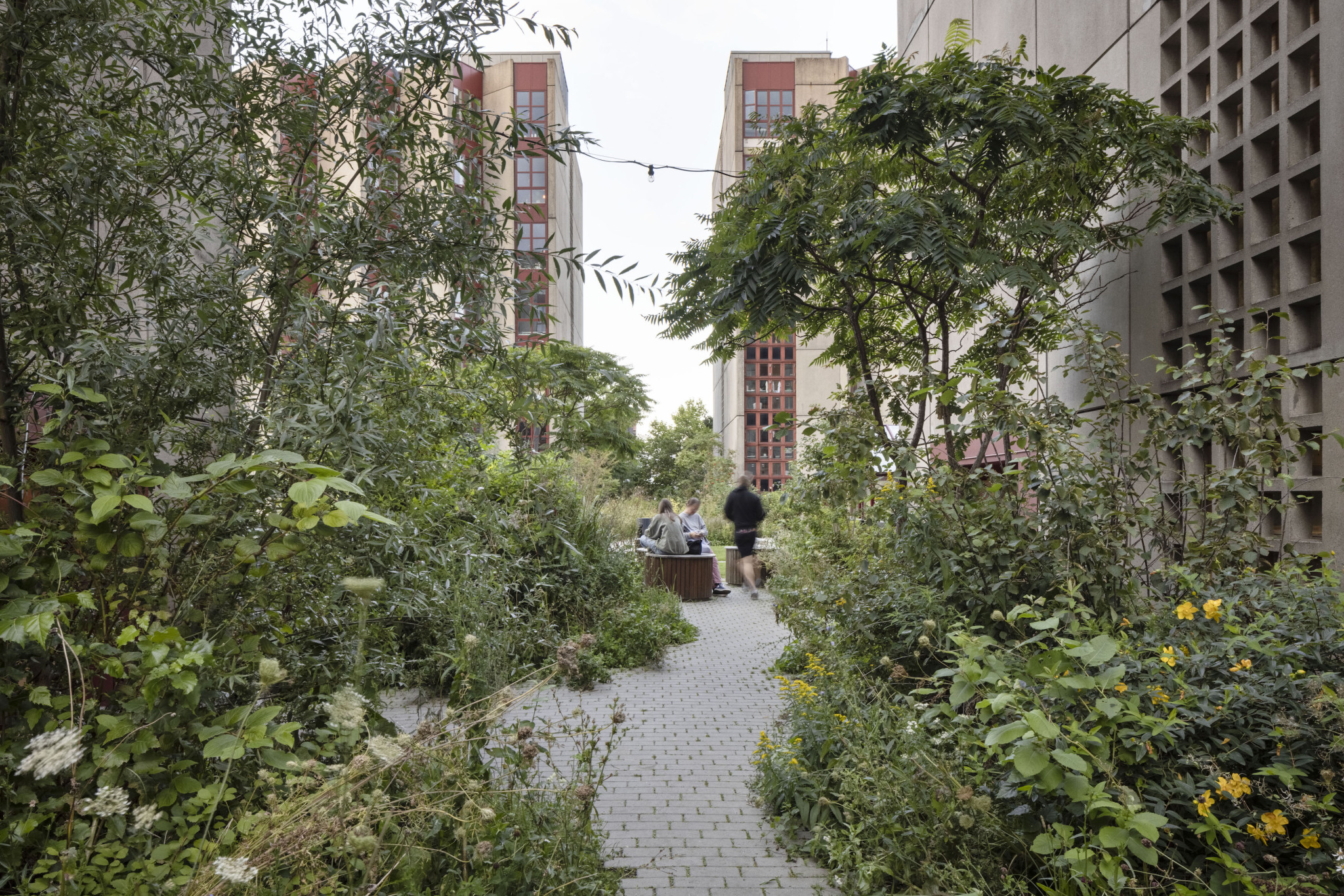 屋顶上的社交花园 / SLA Architects – mooool木藕设计网