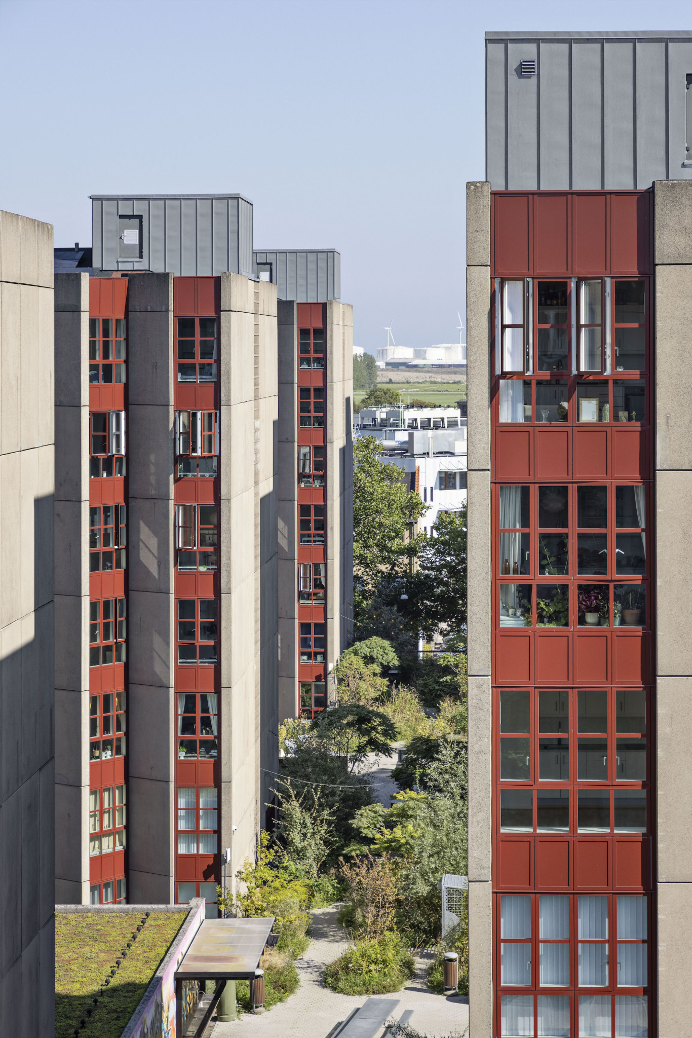 屋顶上的社交花园 / SLA Architects – mooool木藕设计网