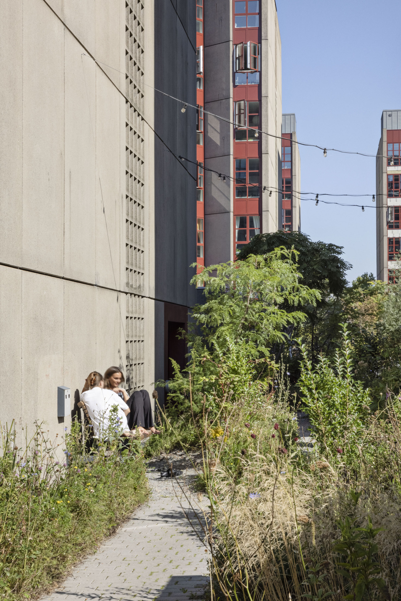 屋顶上的社交花园 / SLA Architects – mooool木藕设计网