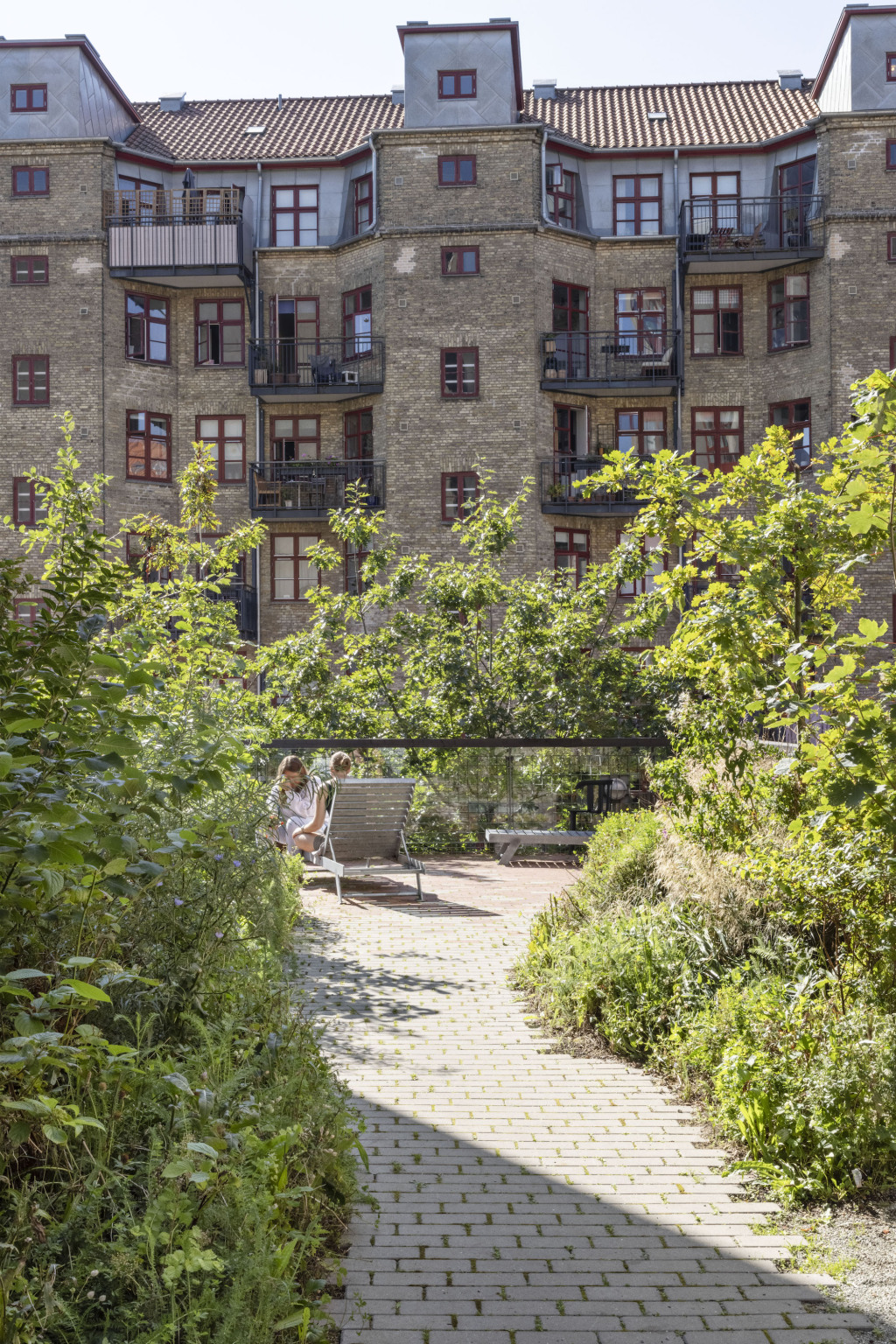 屋顶上的社交花园 / SLA Architects – mooool木藕设计网