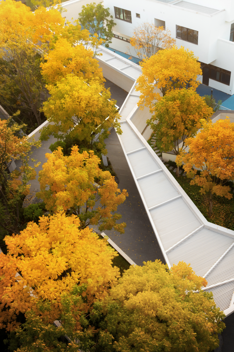 Chongqing LUXERIVERS Biyangxi by WTD – mooool