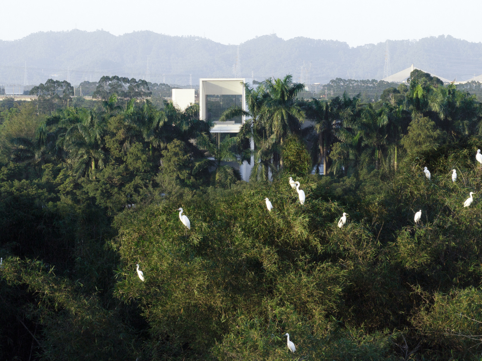 Shunde Yunlu Wetland Museum by Link-Arc Studio – mooool