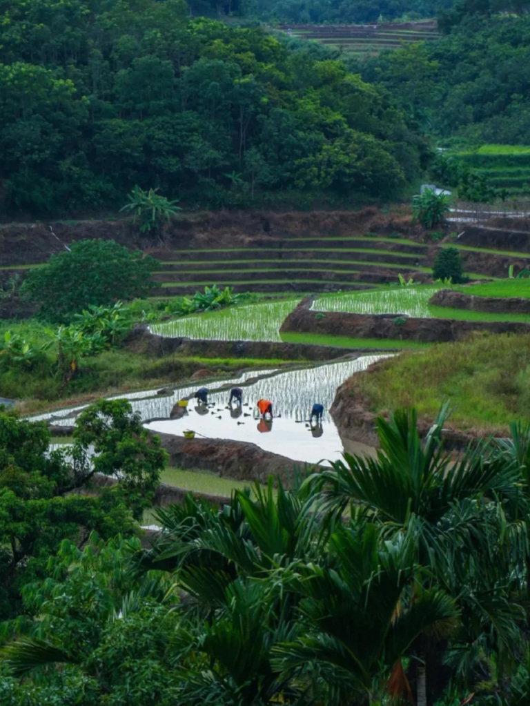 Garden Dream, Nature Painting — Sanya Guanlan Garden by Z’scape – mooool