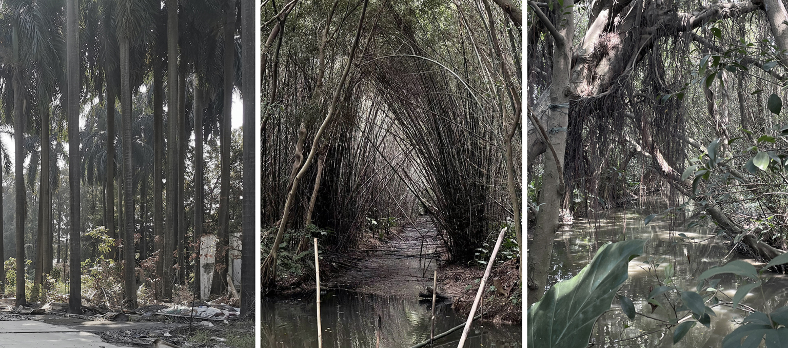 Shunde Yunlu Wetland Museum by Link-Arc Studio – mooool