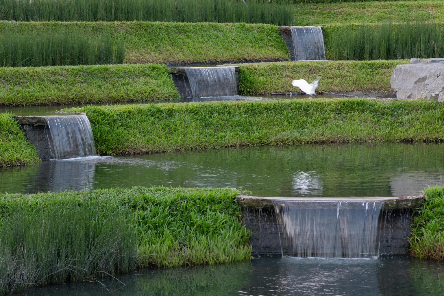 Garden Dream, Nature Painting — Sanya Guanlan Garden by Z’scape – mooool
