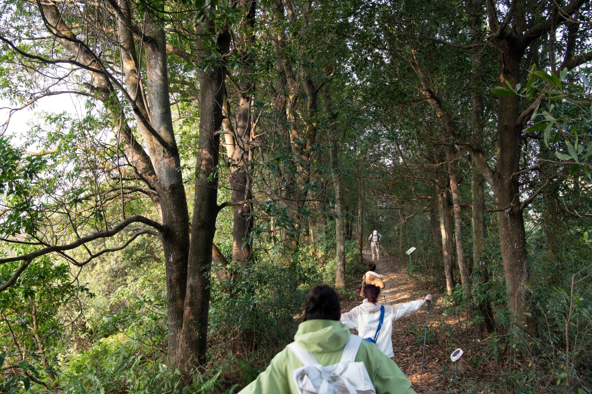 山野有乾坤 都市藏鲲鹏丨深圳山海连城计划 罗湖区东湖公园郊野径-莲塘口岸线 / 未名设计WMLA – mooool木藕设计网