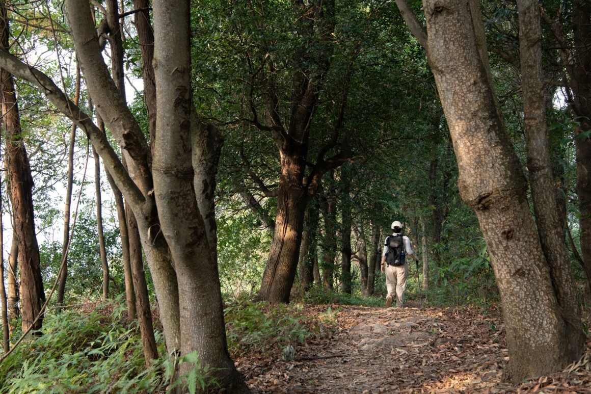 山野有乾坤 都市藏鲲鹏丨深圳山海连城计划 罗湖区东湖公园郊野径-莲塘口岸线 / 未名设计WMLA – mooool木藕设计网