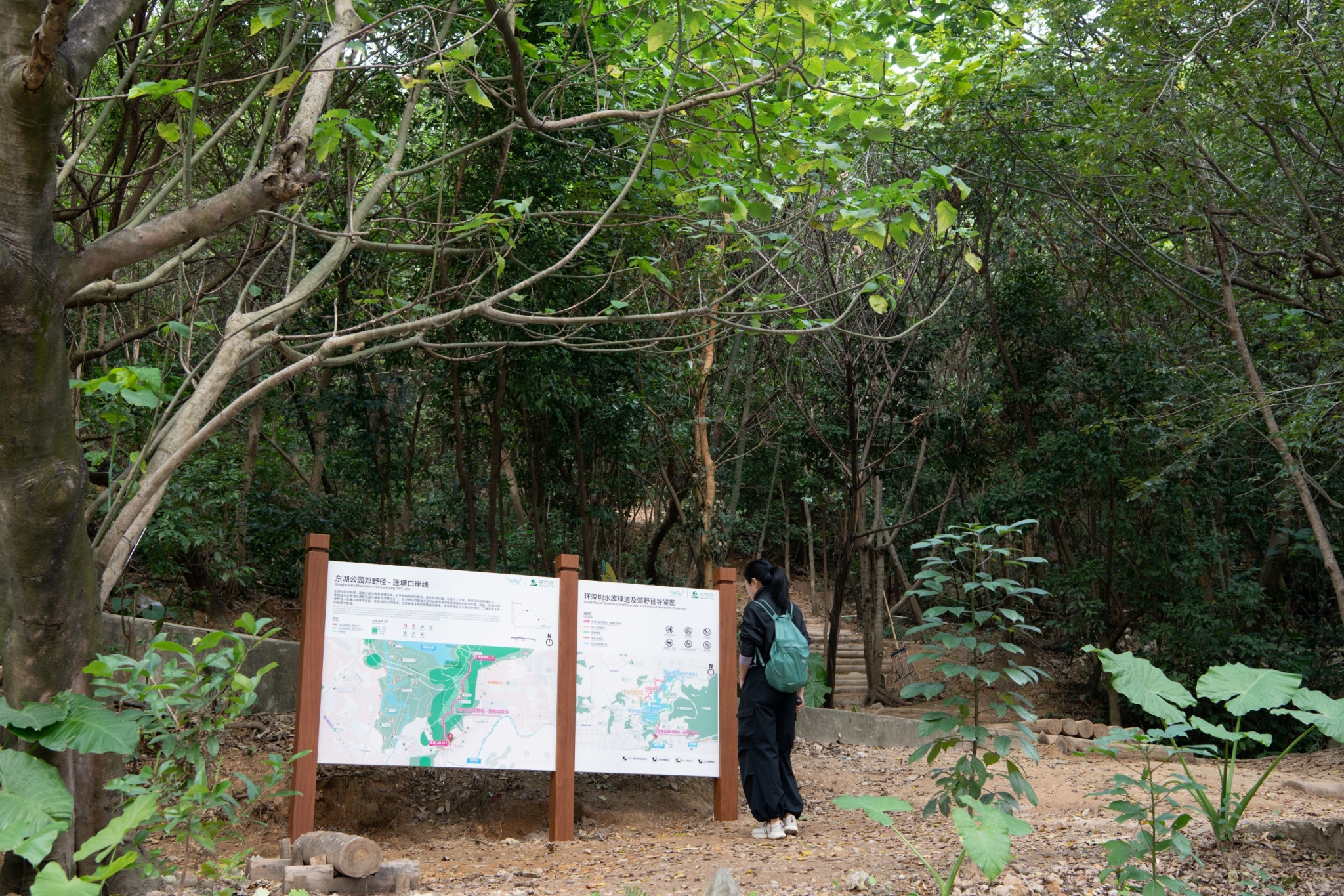 山野有乾坤 都市藏鲲鹏丨深圳山海连城计划 罗湖区东湖公园郊野径-莲塘口岸线 / 未名设计WMLA – mooool木藕设计网