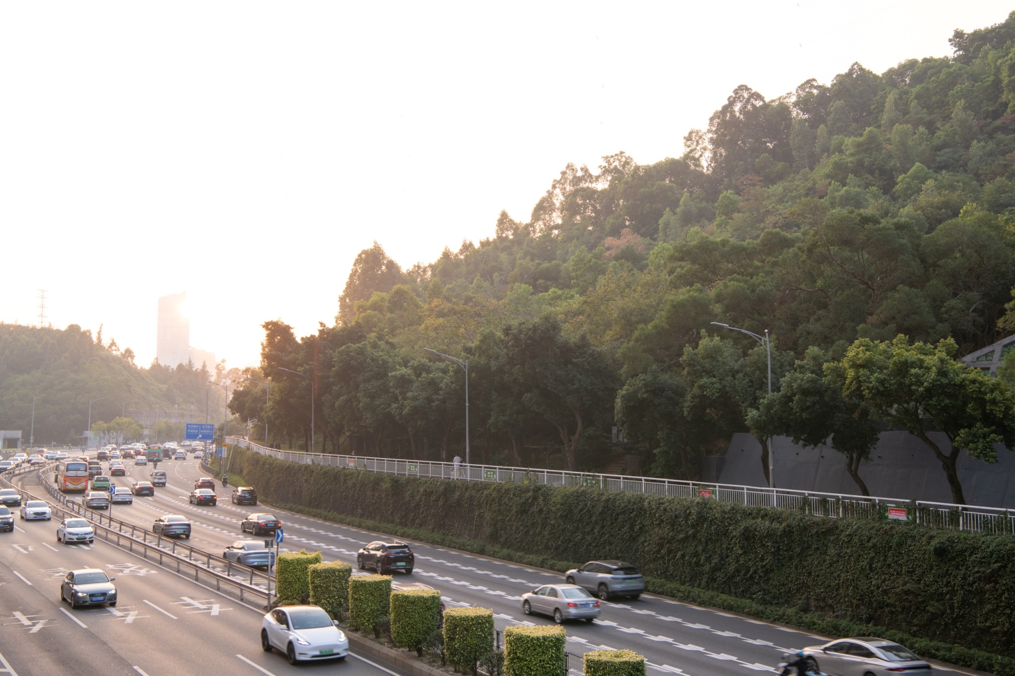 山野有乾坤 都市藏鲲鹏丨深圳山海连城计划 罗湖区东湖公园郊野径-莲塘口岸线 / 未名设计WMLA – mooool木藕设计网