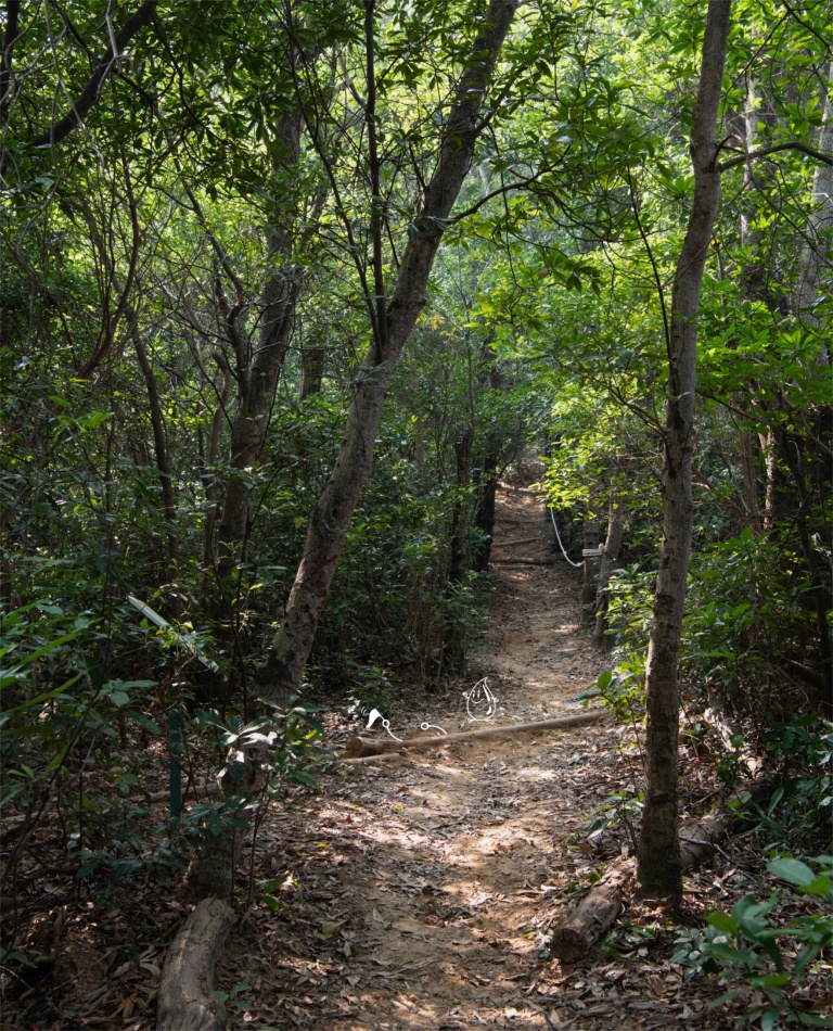 山野有乾坤 都市藏鲲鹏丨深圳山海连城计划 罗湖区东湖公园郊野径-莲塘口岸线 / 未名设计WMLA – mooool木藕设计网