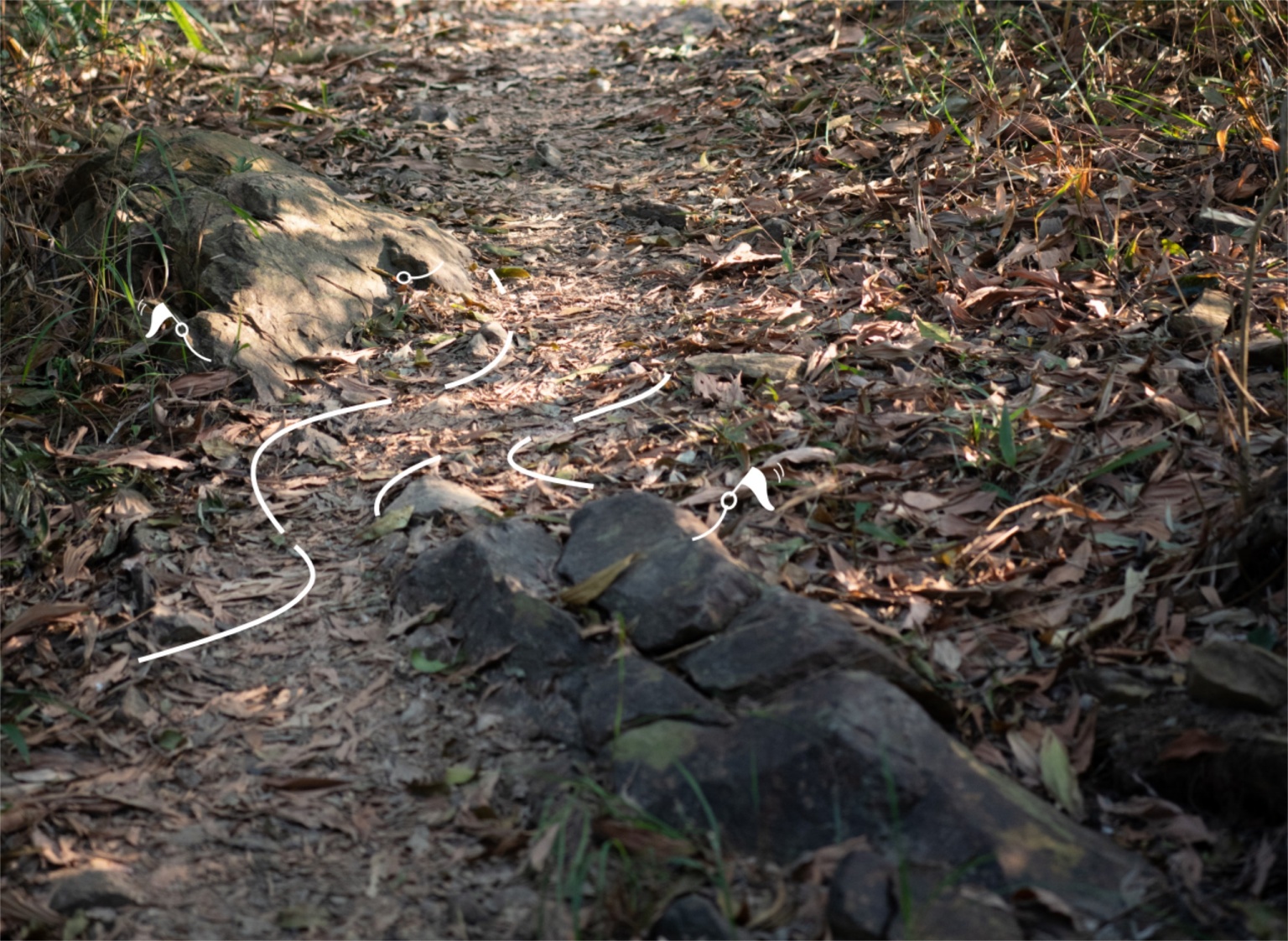 山野有乾坤 都市藏鲲鹏丨深圳山海连城计划 罗湖区东湖公园郊野径-莲塘口岸线 / 未名设计WMLA – mooool木藕设计网