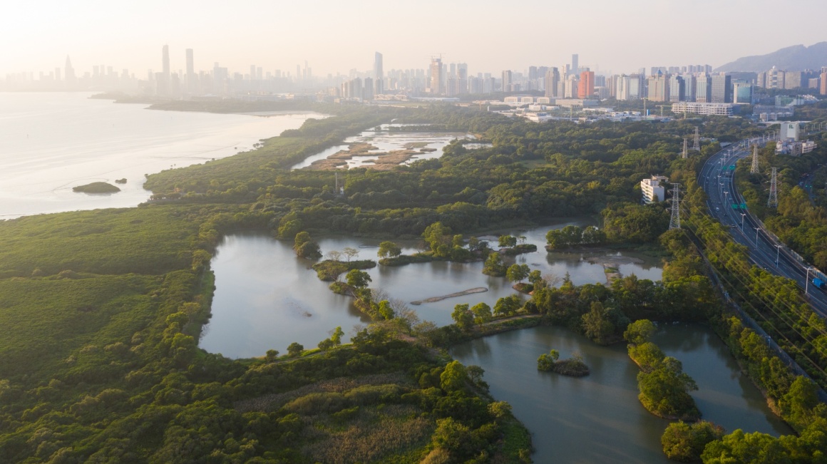 深圳岸线与候鸟共栖-基于NbS的福田红树林国家级自然保护区鸟类生境修复 / 一方&未名设计WMLA – mooool木藕设计网