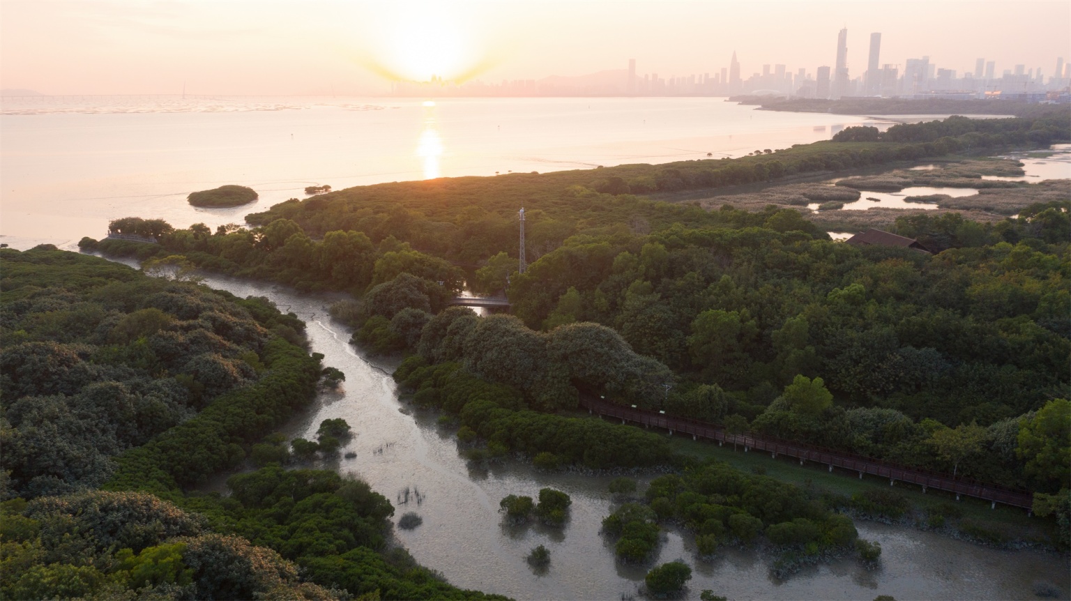 深圳岸线与候鸟共栖-基于NbS的福田红树林国家级自然保护区鸟类生境修复 / 一方&未名设计WMLA – mooool木藕设计网