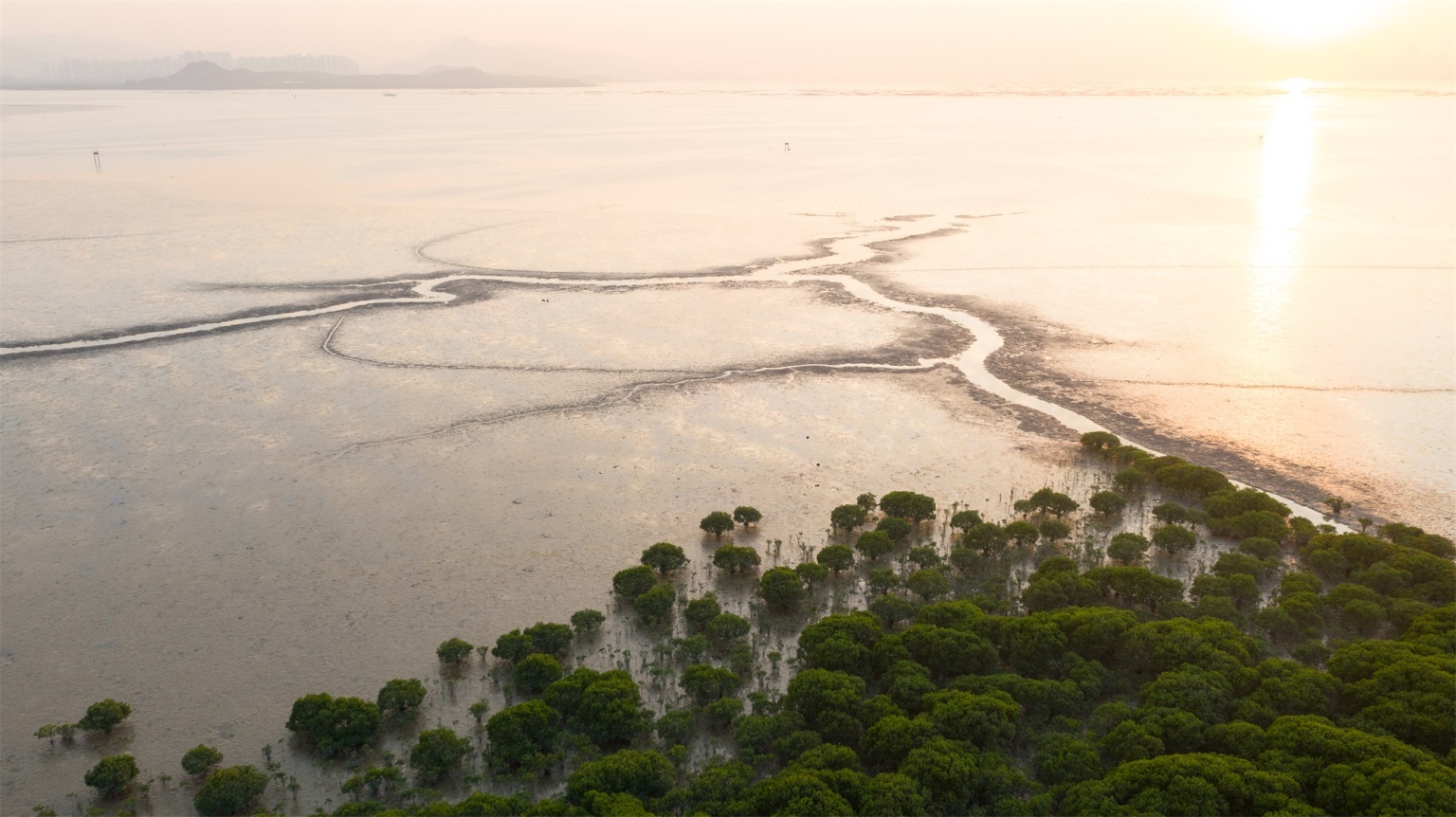 深圳岸线与候鸟共栖-基于NbS的福田红树林国家级自然保护区鸟类生境修复 / 一方&未名设计WMLA – mooool木藕设计网