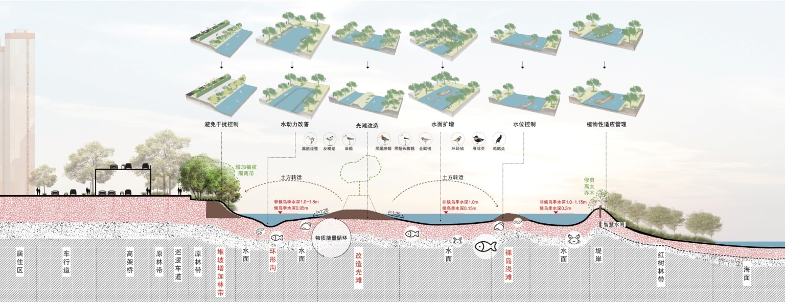深圳岸线与候鸟共栖-基于NbS的福田红树林国家级自然保护区鸟类生境修复 / 一方&未名设计WMLA – mooool木藕设计网