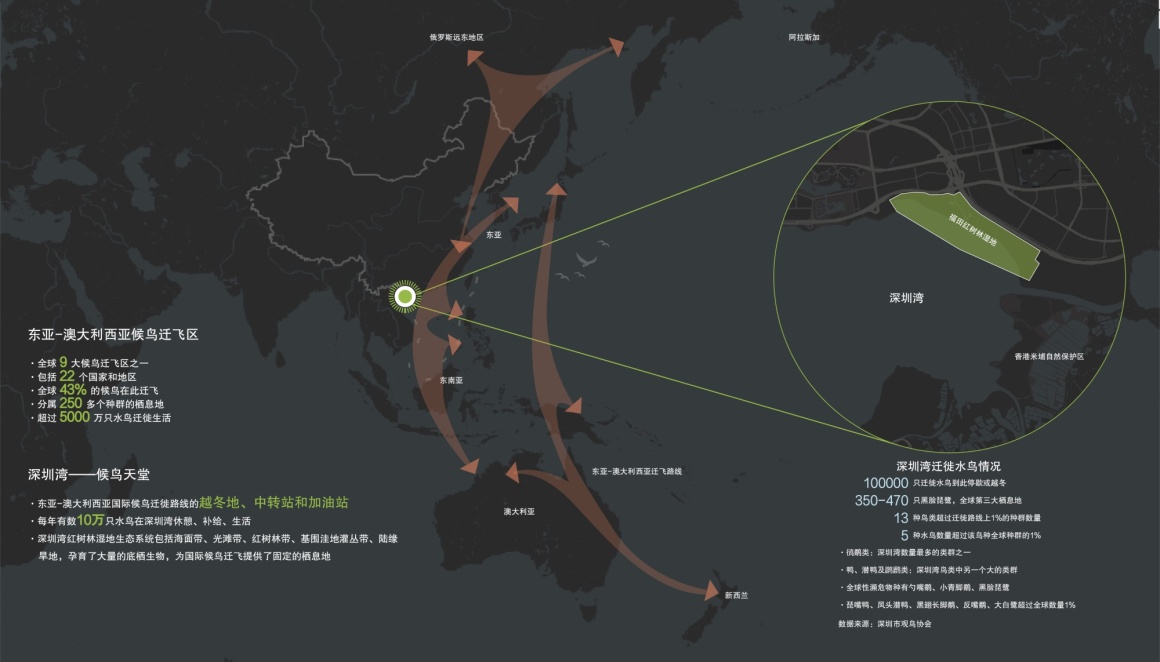深圳岸线与候鸟共栖-基于NbS的福田红树林国家级自然保护区鸟类生境修复 / 一方&未名设计WMLA – mooool木藕设计网